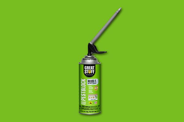 DuPont Great Stuff™ Pestblock Insulating Foam Sealant (12 Oz) - Miami ...